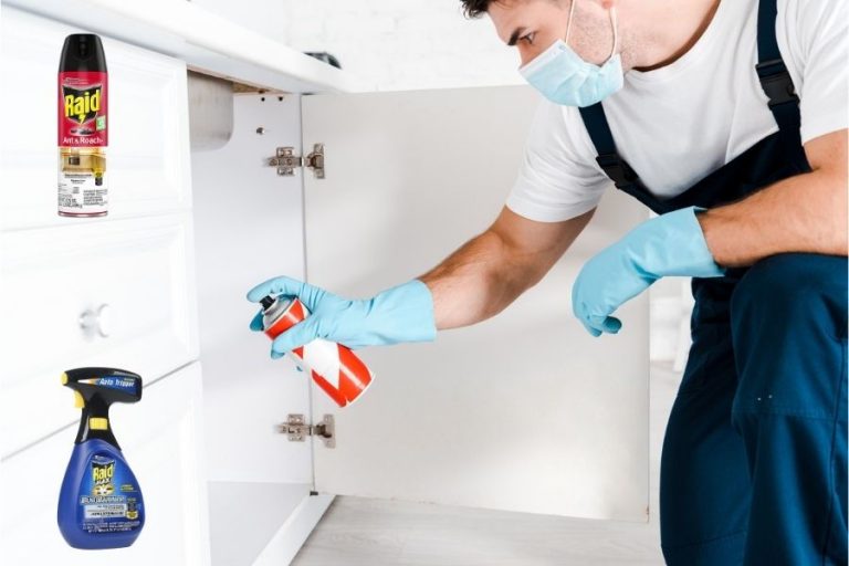 how-long-after-spraying-raid-can-you-enter-a-room-house-trick