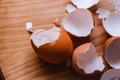 What Happens if You Eat Eggshells? » House Trick